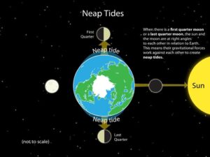 What Is A Neap Tide? - Maritime Page